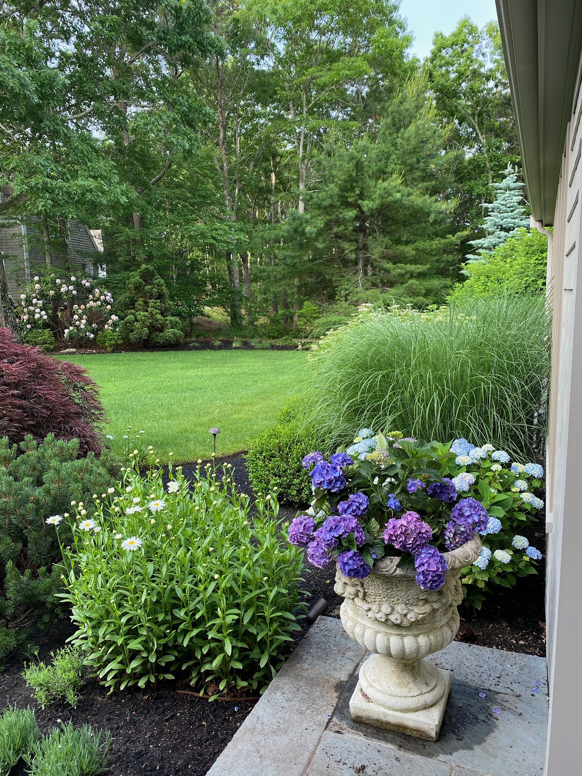 Move To The Countryside? Why Not! - A Few Goody Gumdrops